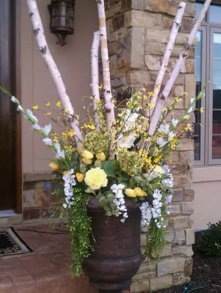 Decorating with Birch Wood: Enhancing Your Decor